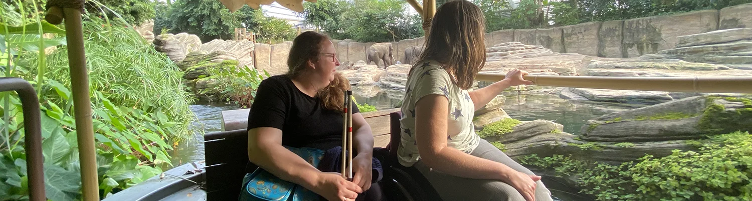 What we do - Joint Projects